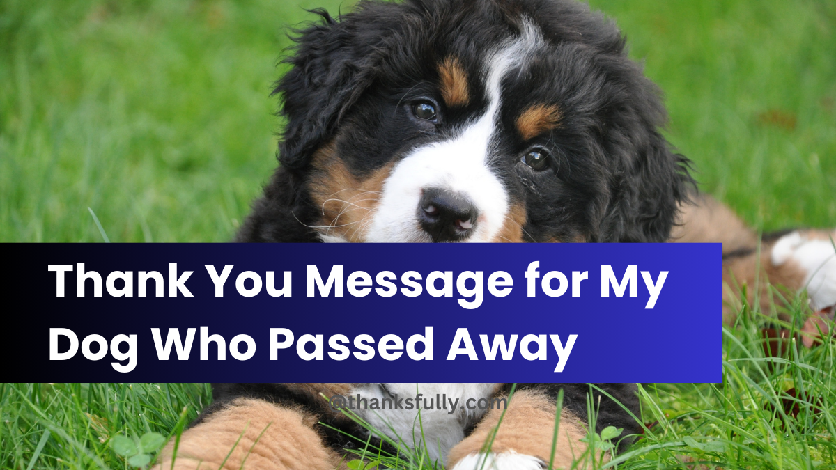 100+ Thank You Message for My Dog Who Passed Away - ThanksFully
