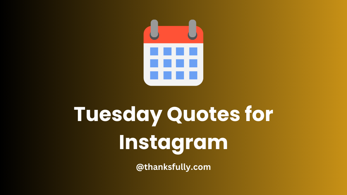 100+ Tuesday Quotes for Instagram (With Captions) - ThanksFully