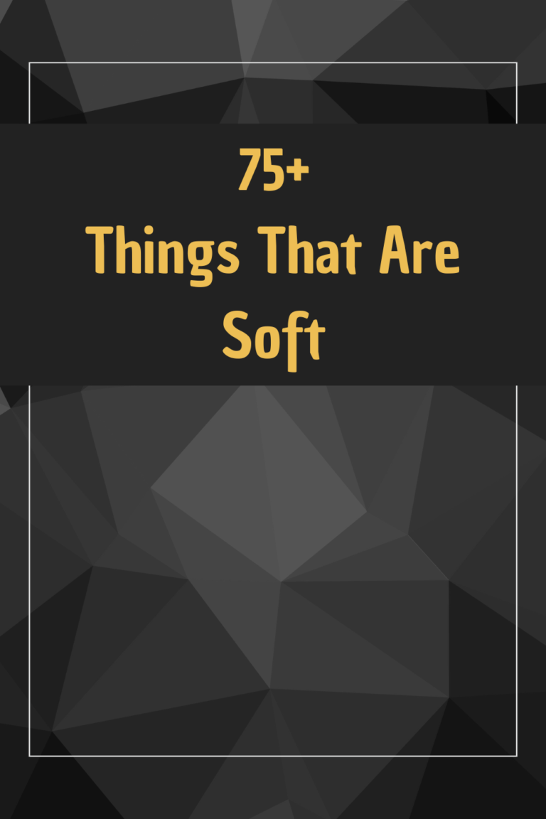 75+ Things That Are Soft - ThanksFully